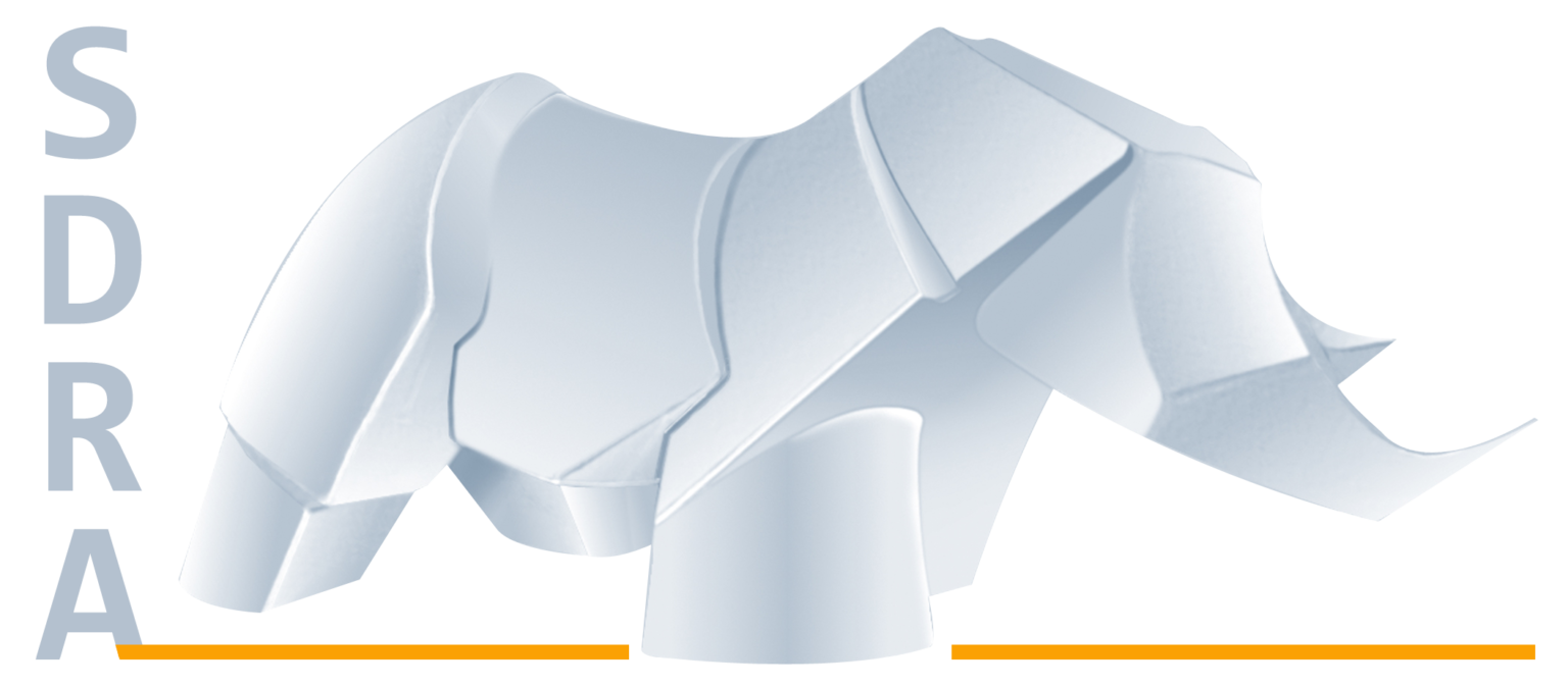 SDRA Lyon | Cabinet Expertise comptable - Audit - Conseil